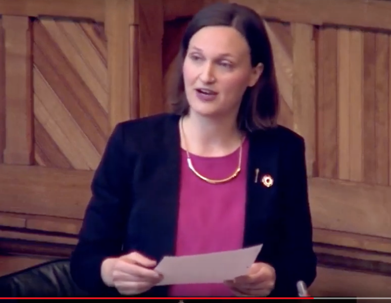 MLA Megan Mitton calls on province to summon political will for big ...